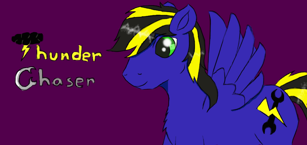 Thunder Chaser by FlameSpartan569