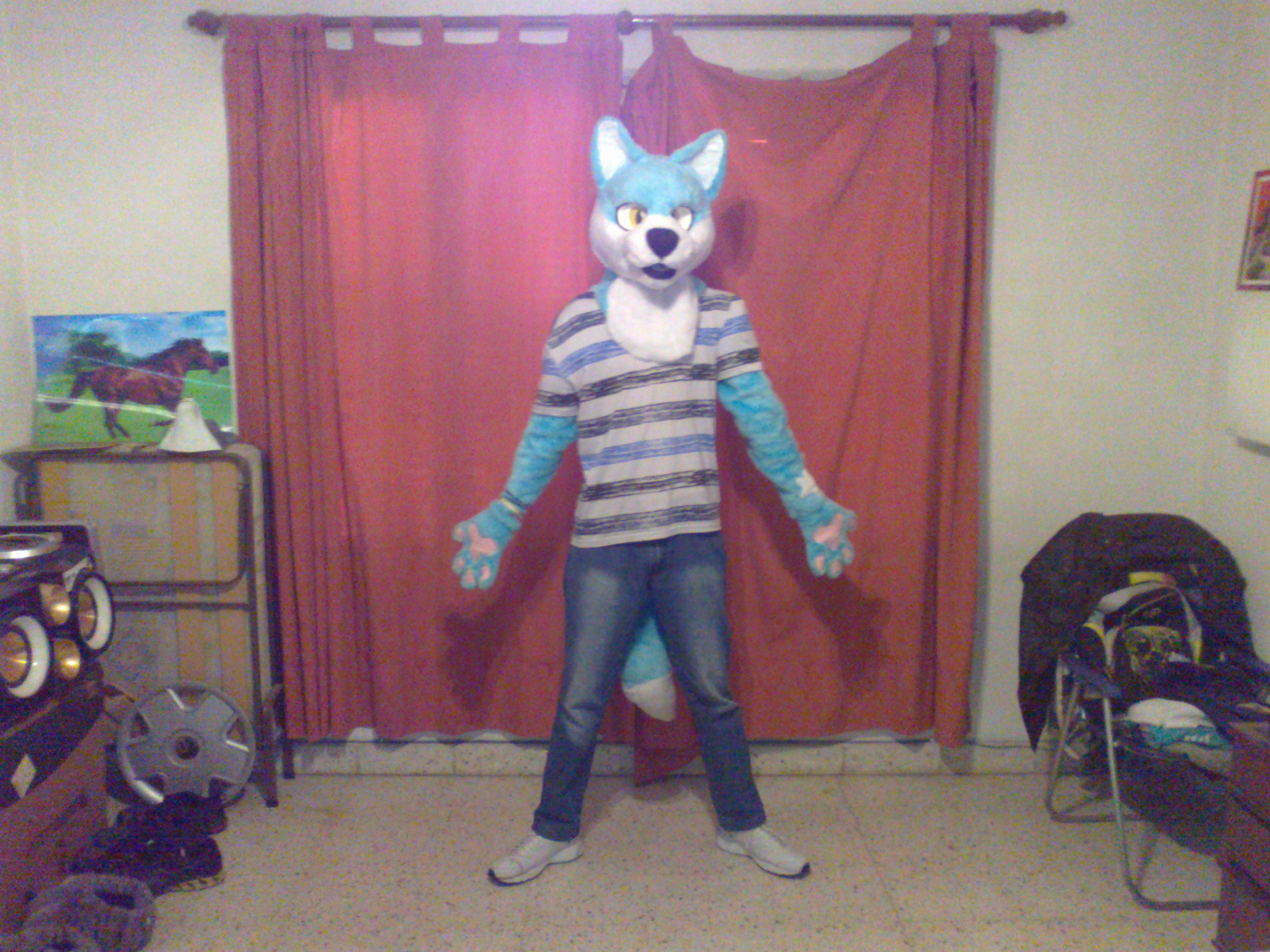 Lichu Fursuit! by lichu246