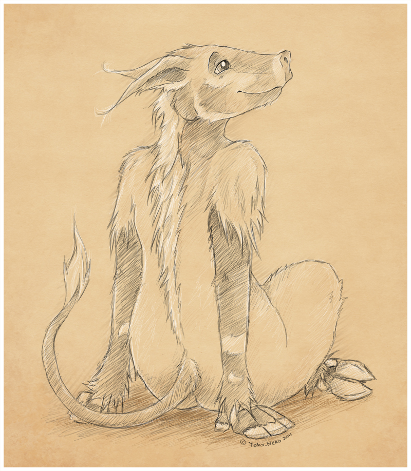 content Bushpig by youka