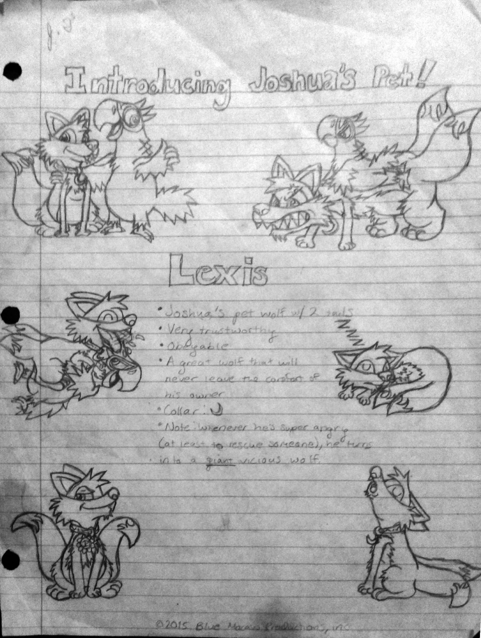 Lexis Info. Sheet by JoshuaBlueMacaw