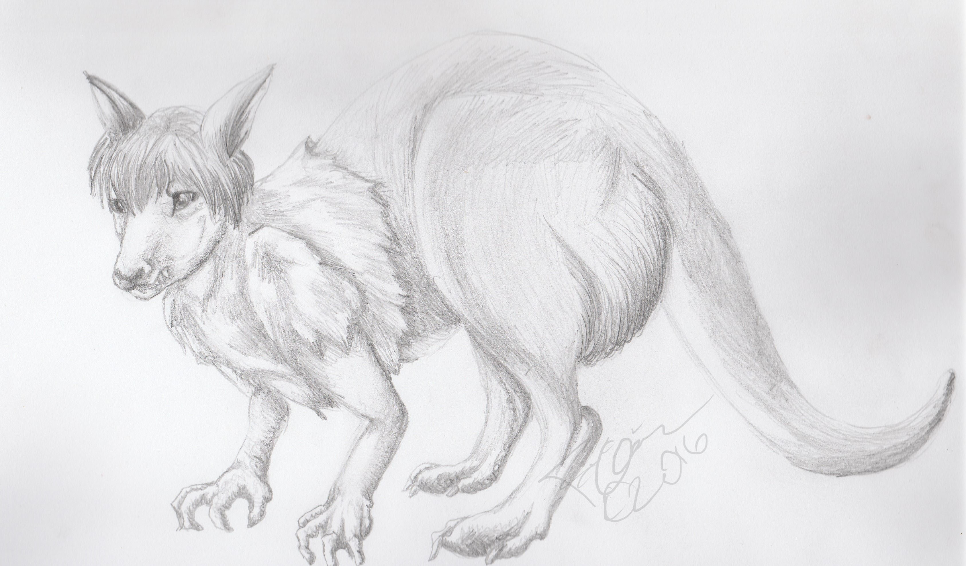 Were-Kangaroo. by CannibalisticRose