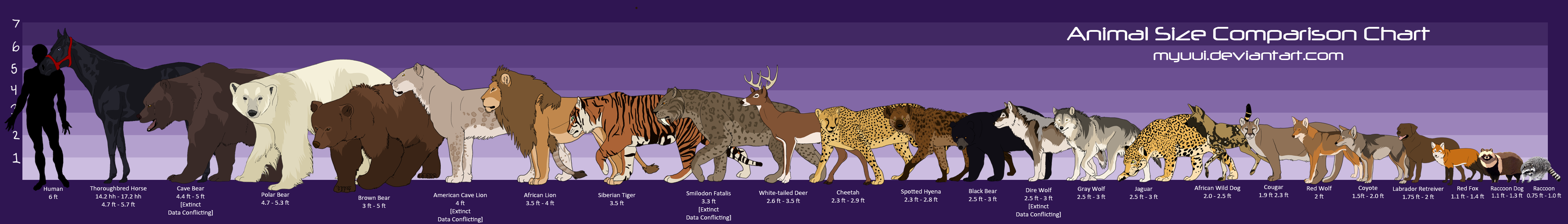 Animal Size Comparison Chart by EcchiTanuki