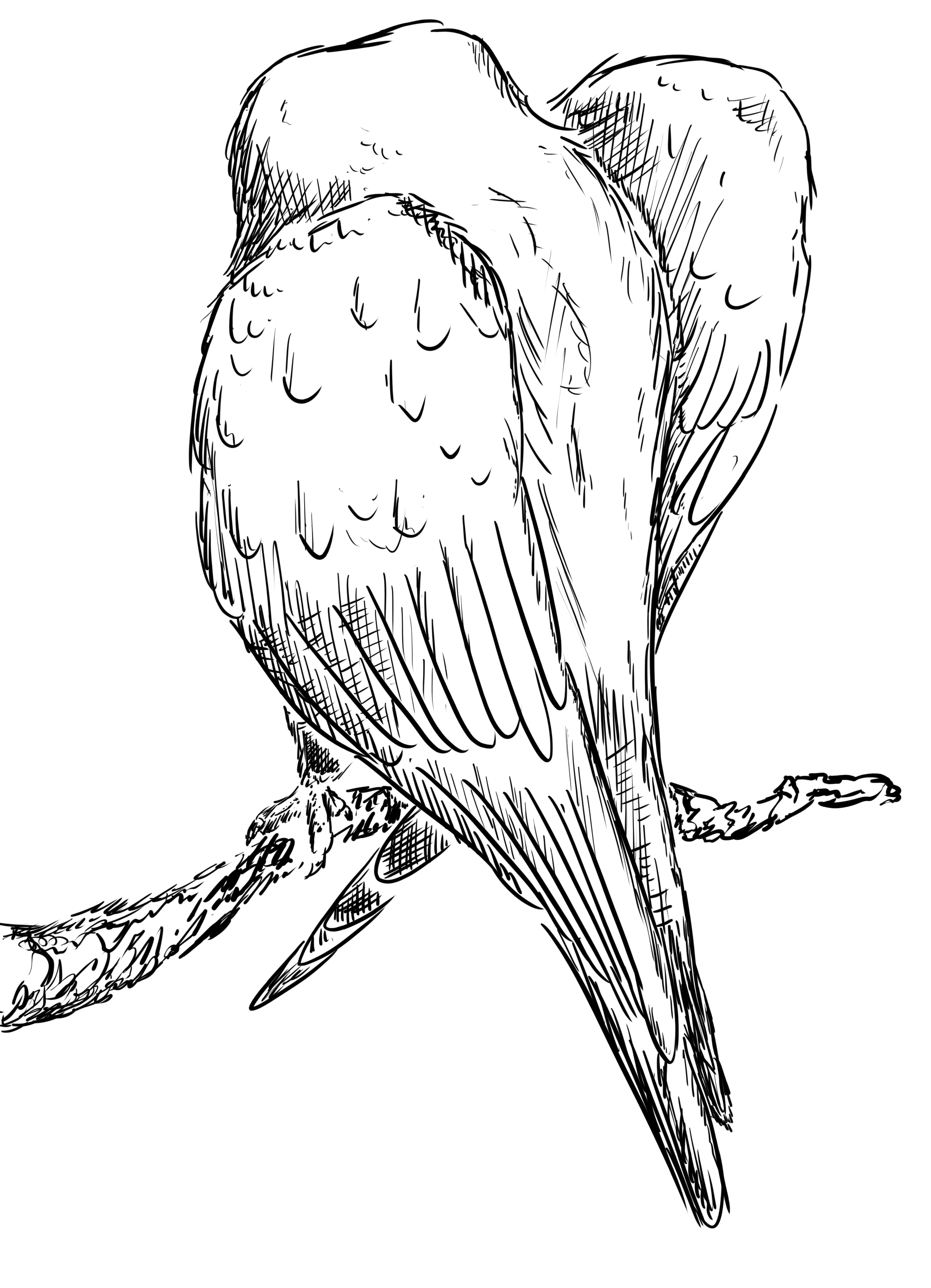 wing stretch by woggle