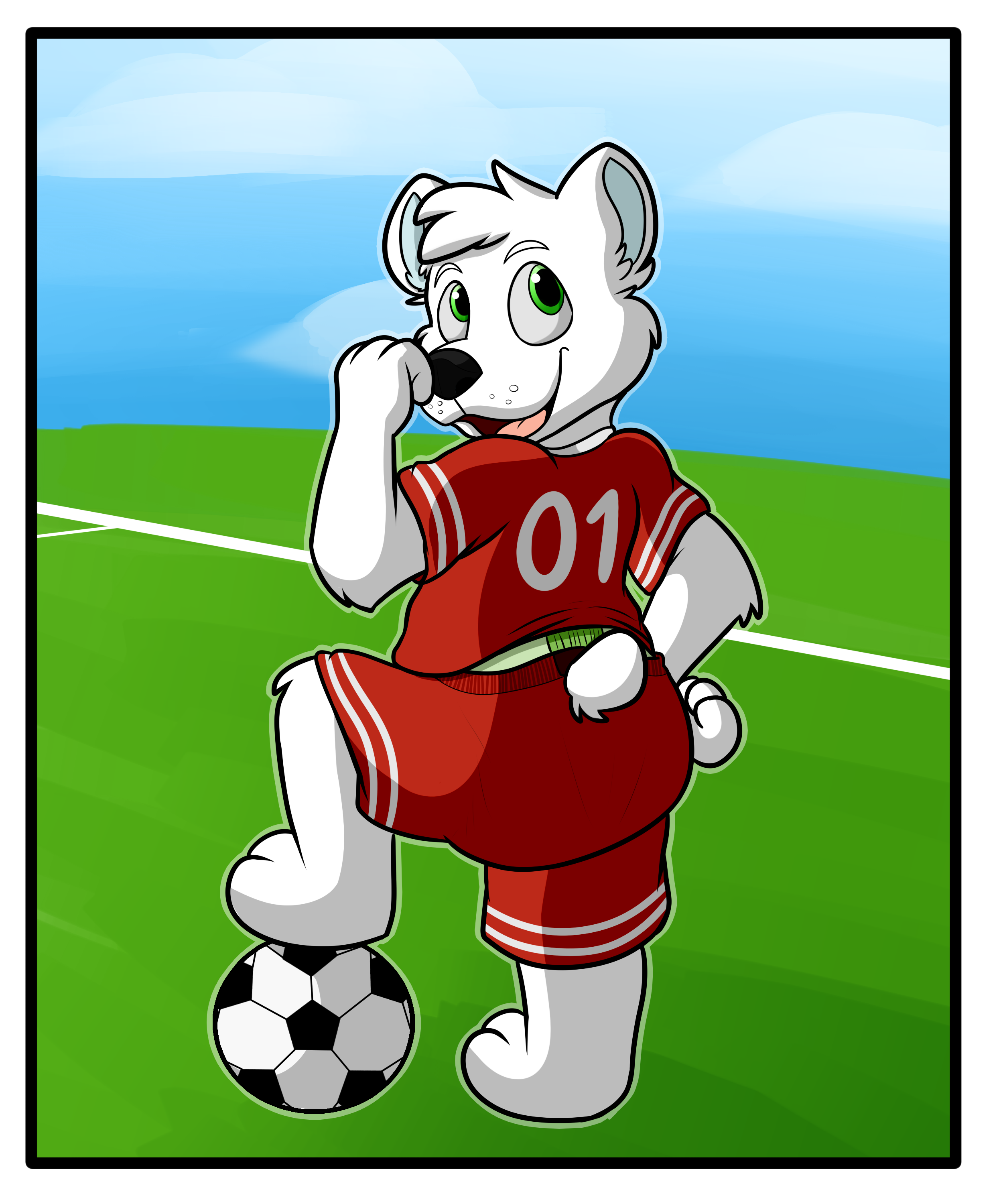 On the Soccer Pitch by BaltNWolf by PolarYoshi