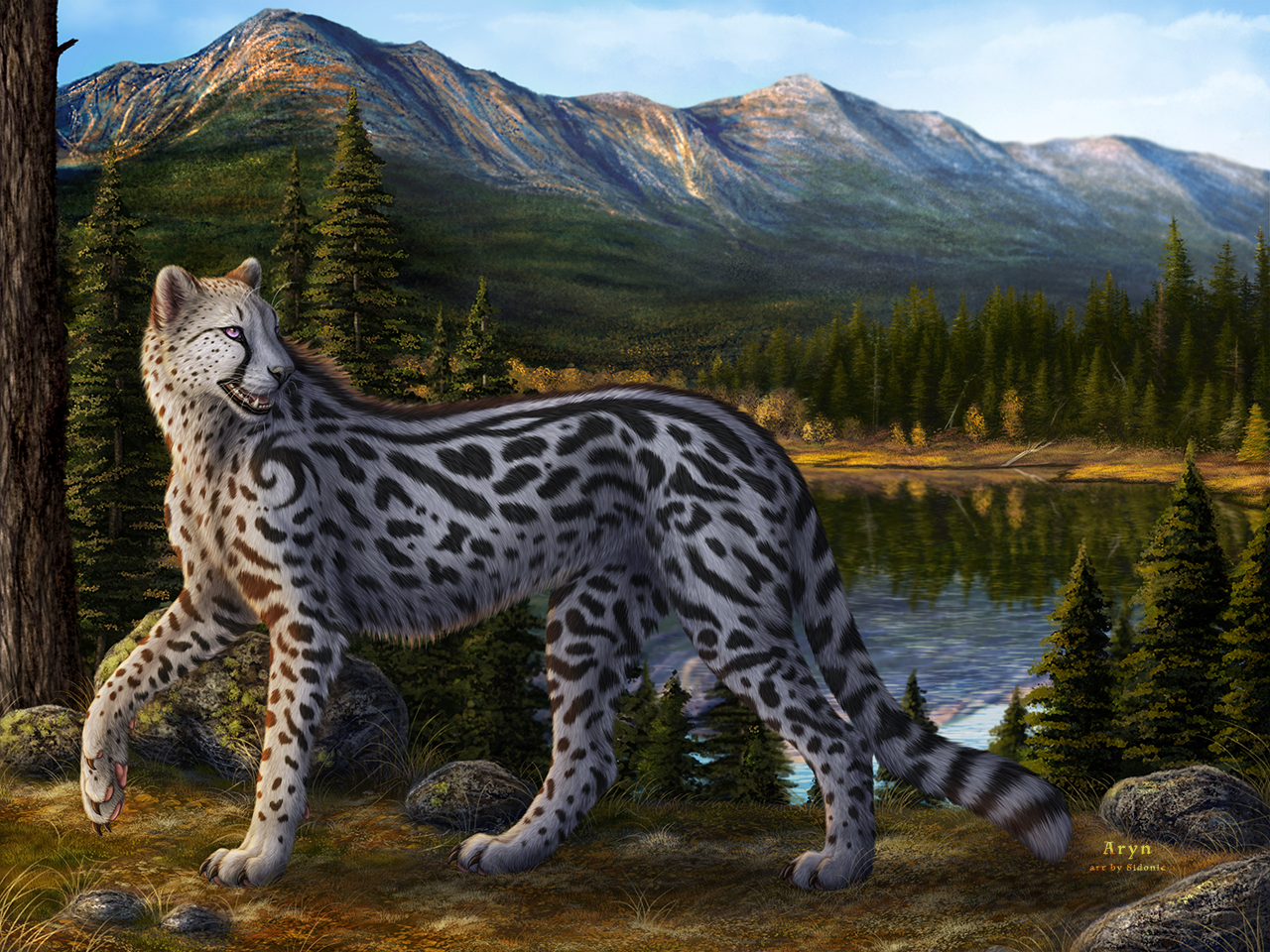 Watchful Aryn by Cheetahs