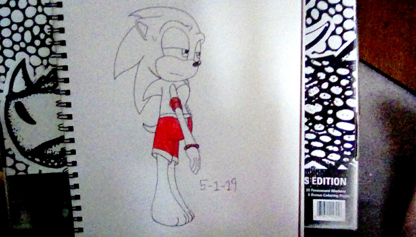 Preggo Beach Sonic by SonicAnon