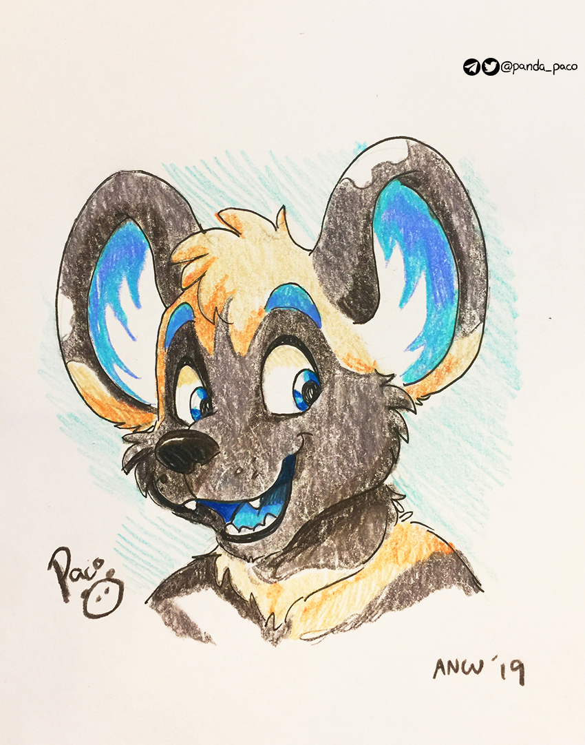 Daily Sketches #47 by pandapaco