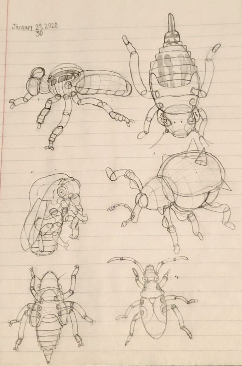 Insect Drawings #10-2 by WisleyChalke