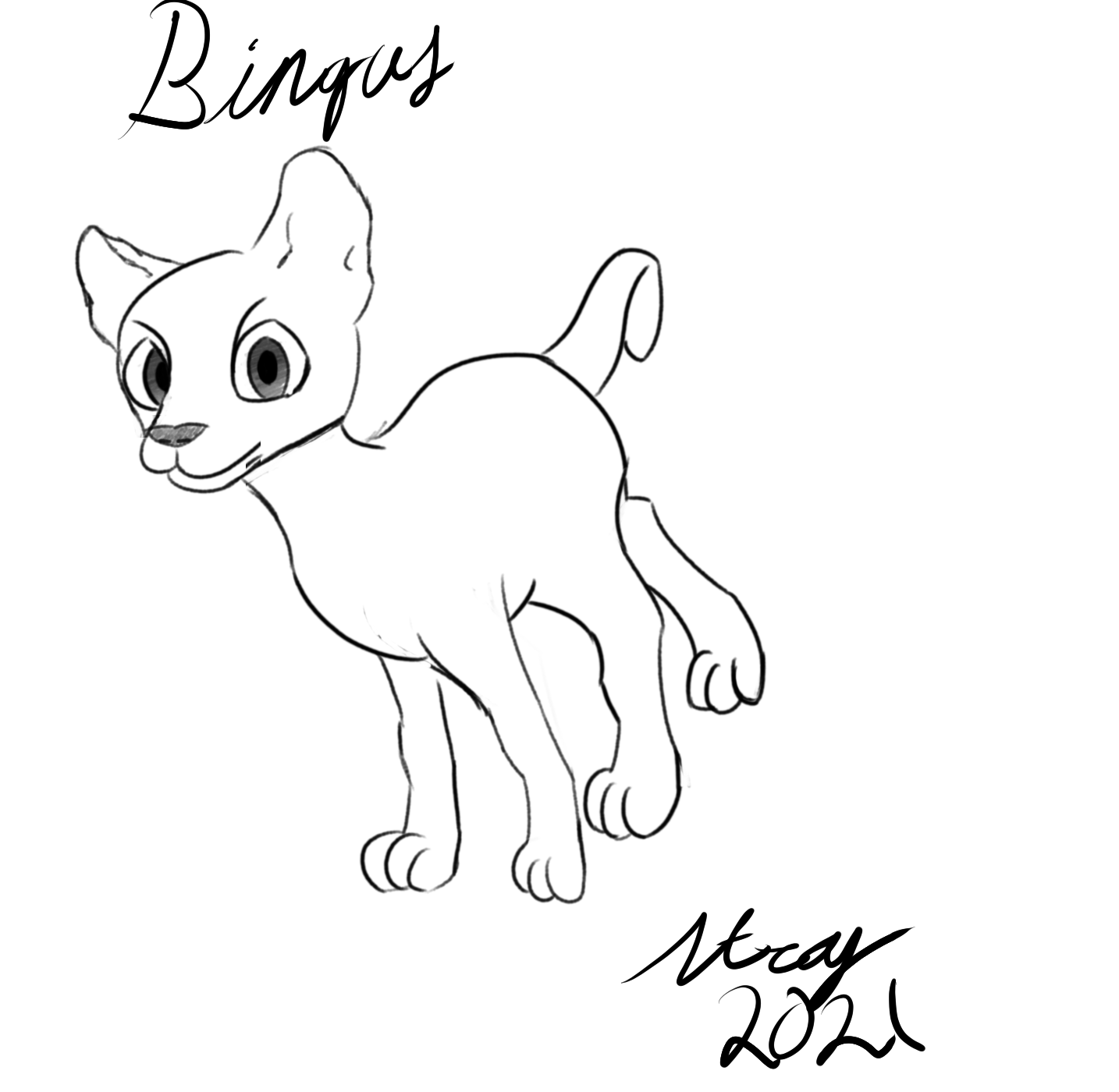 Bingus! by straydoggo