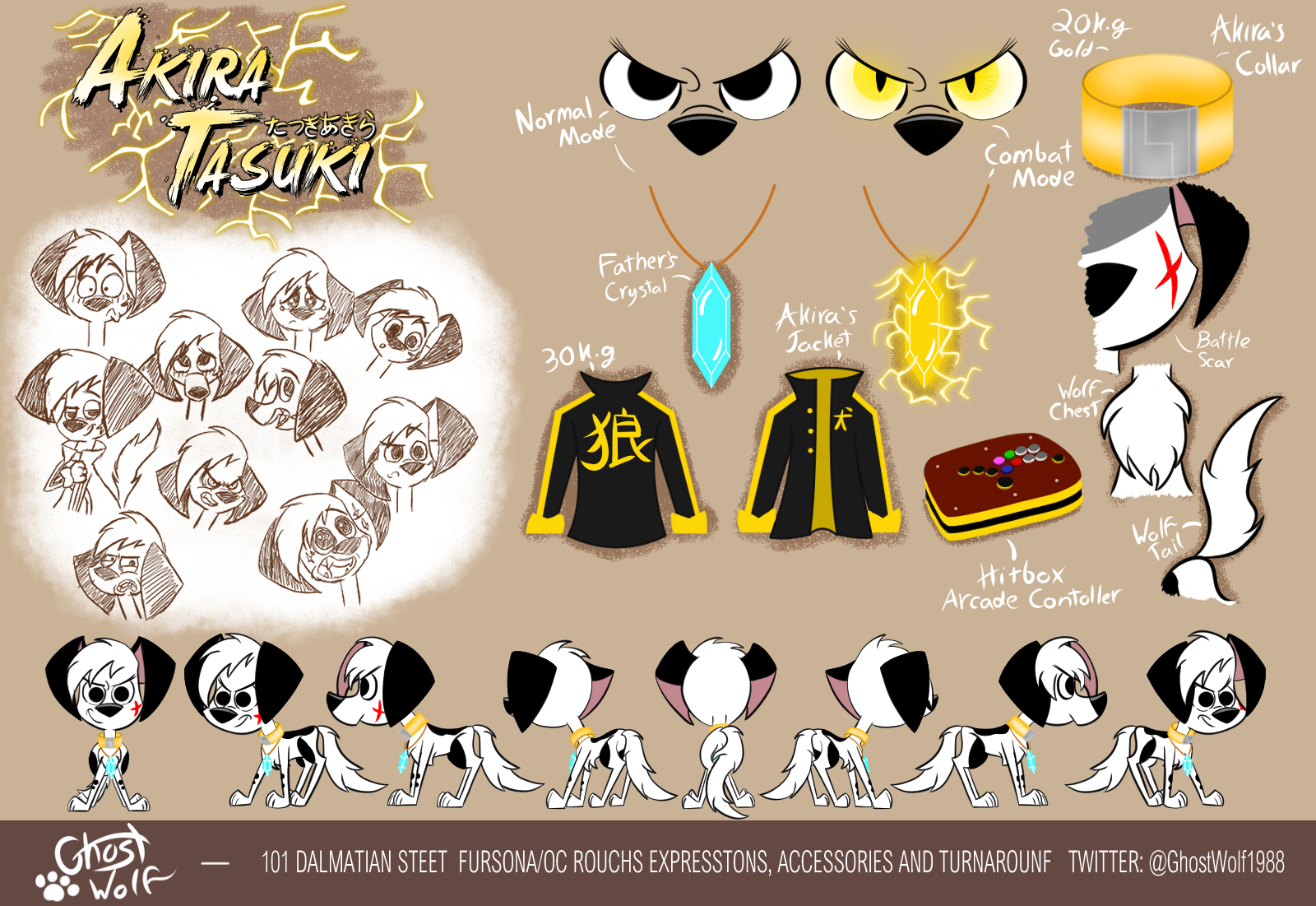 101 DS Sheet: Akira Tasuki by XGhostWolfX