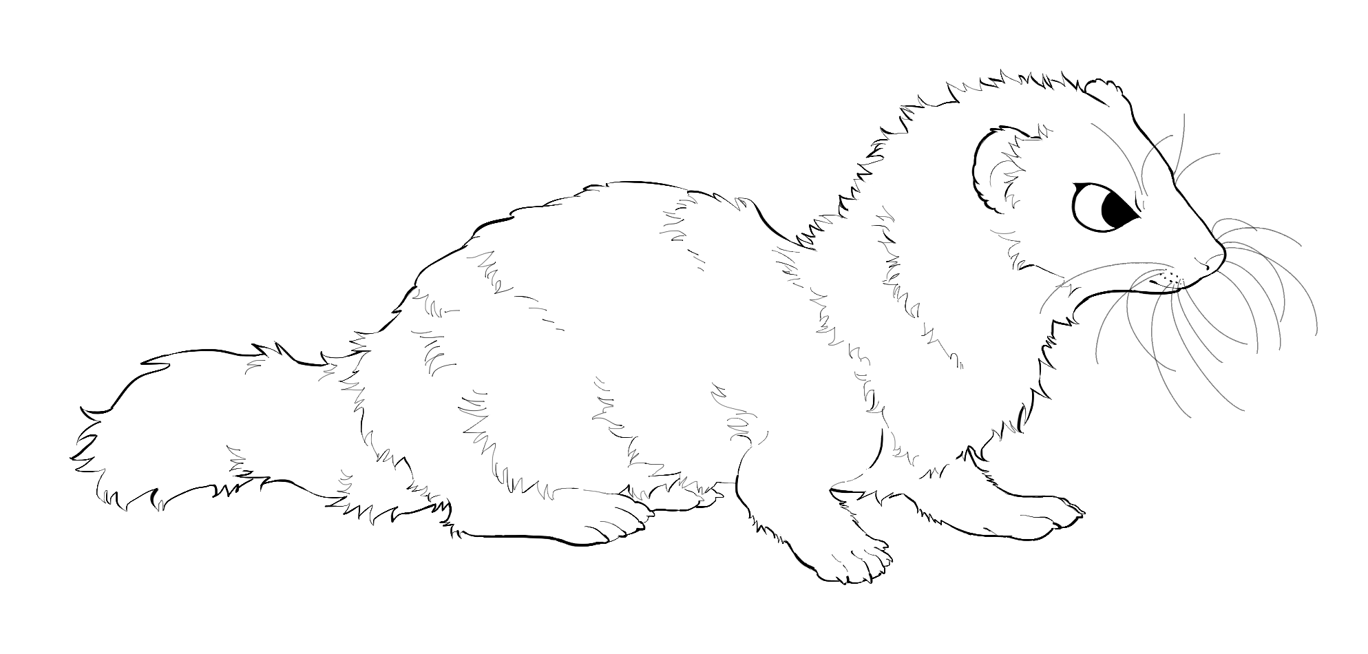 [F2U Base] Ferret by 1ksrw