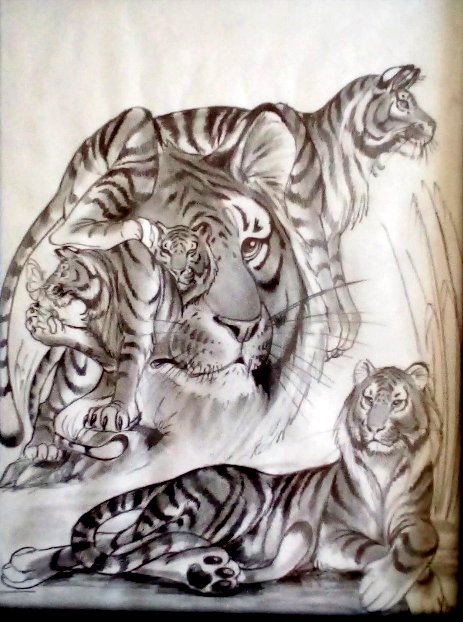 Tiger Collage by Seeka