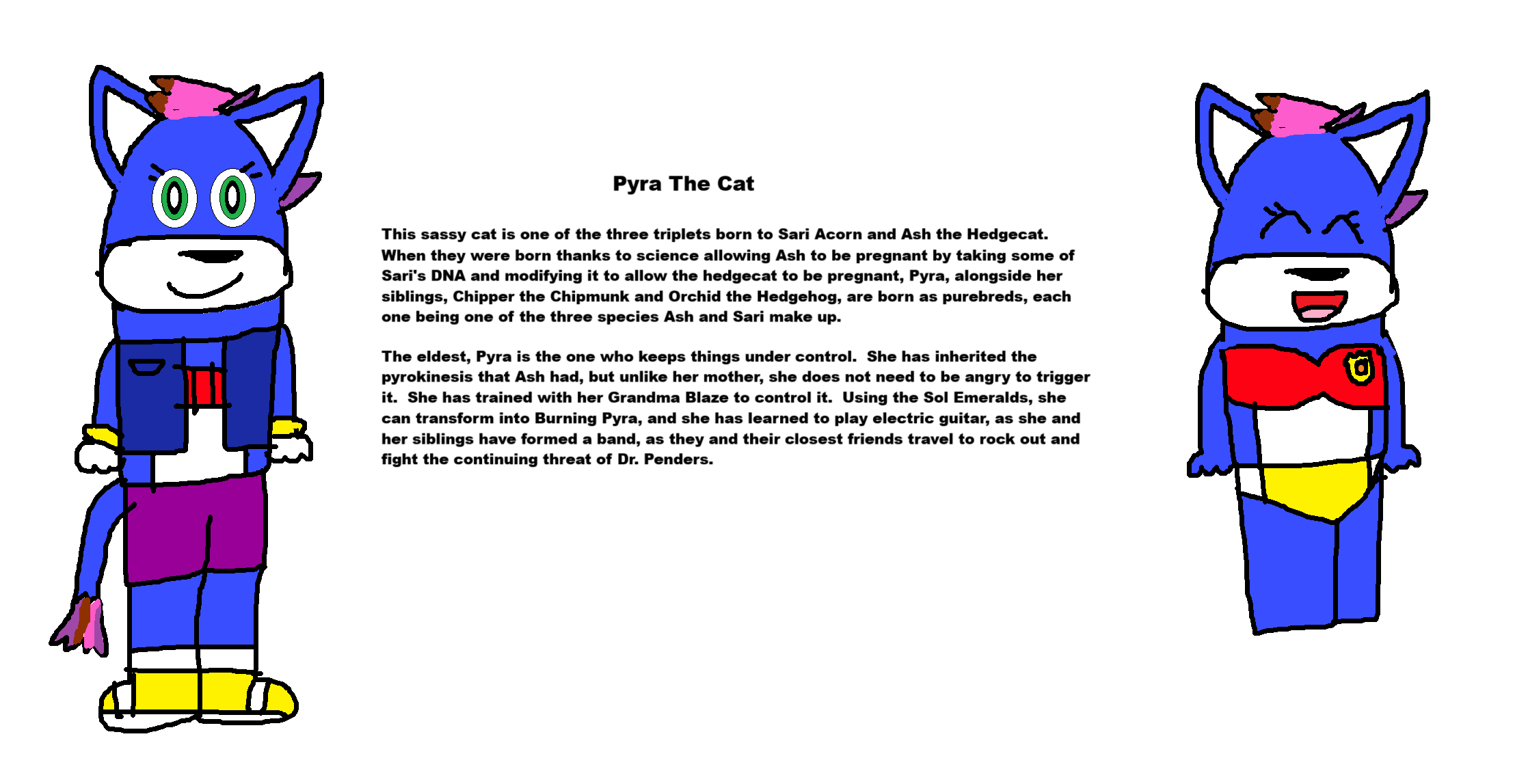 Pyra The Cat Profile by jeremycrimson