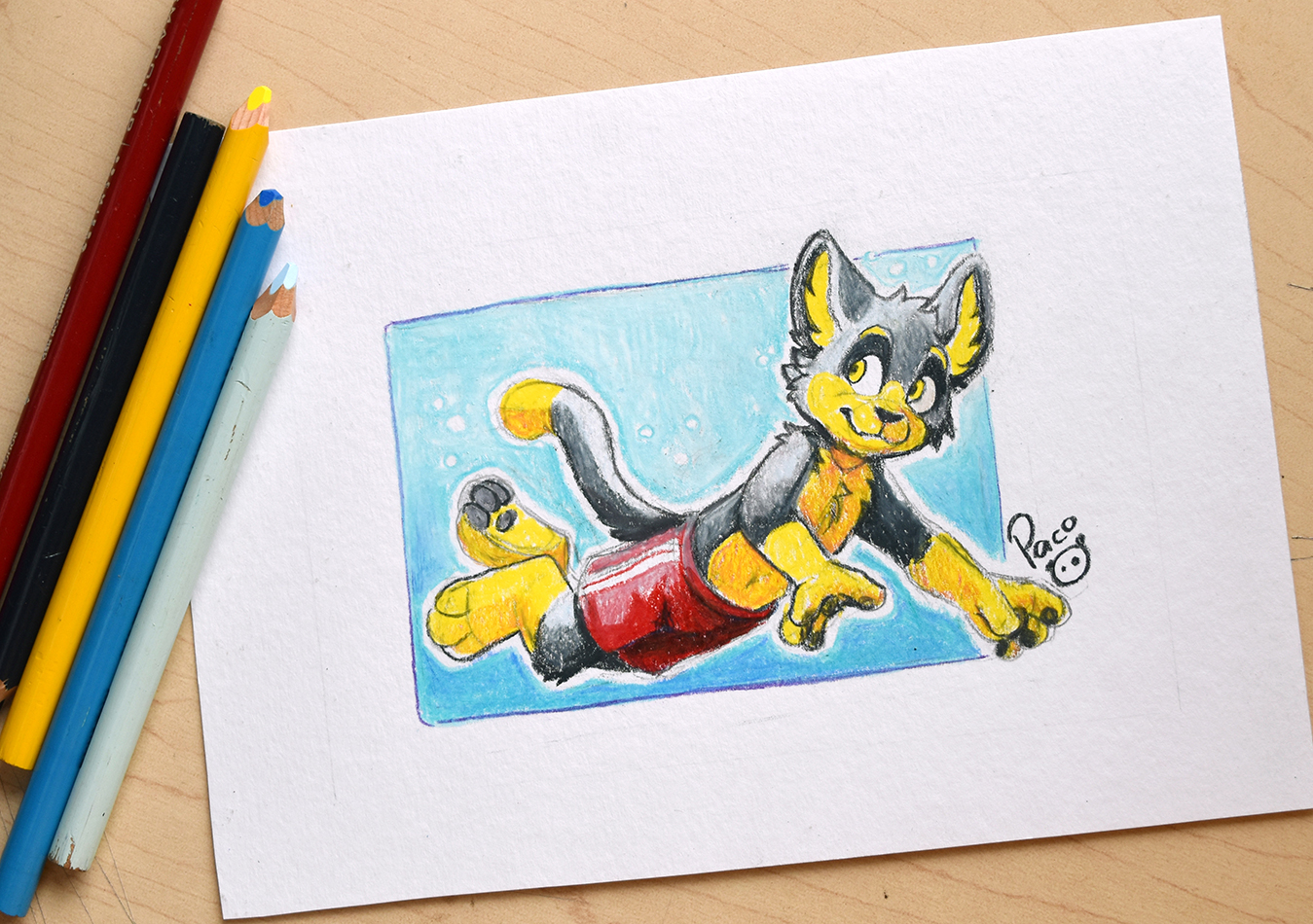 Anthrocon Cat: Undersea Adventures by pandapaco