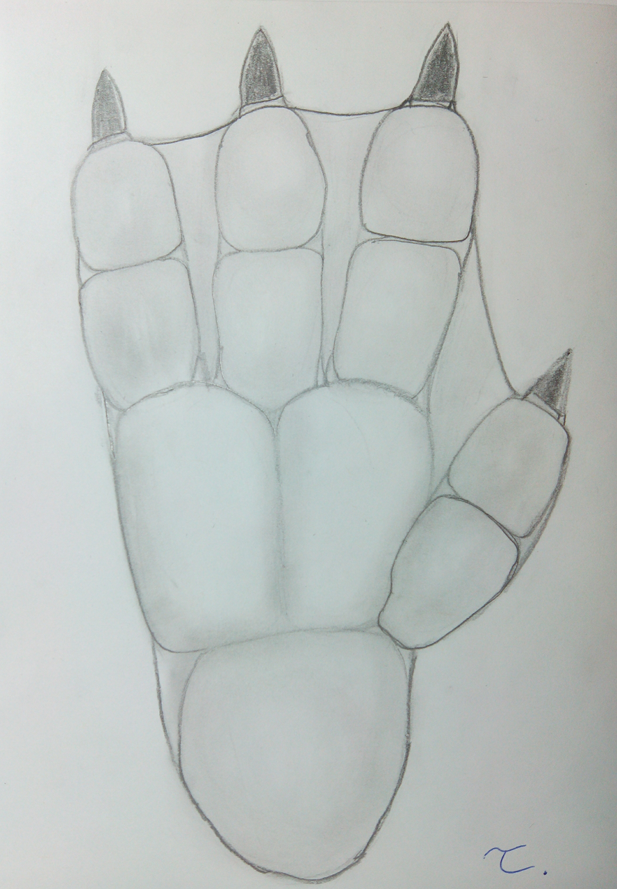 Pata de dragón by Teslo