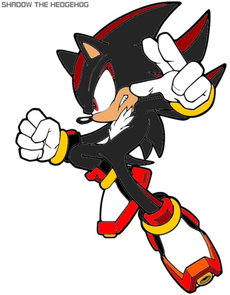 Shadow the Hedgehog by KaiMaster07