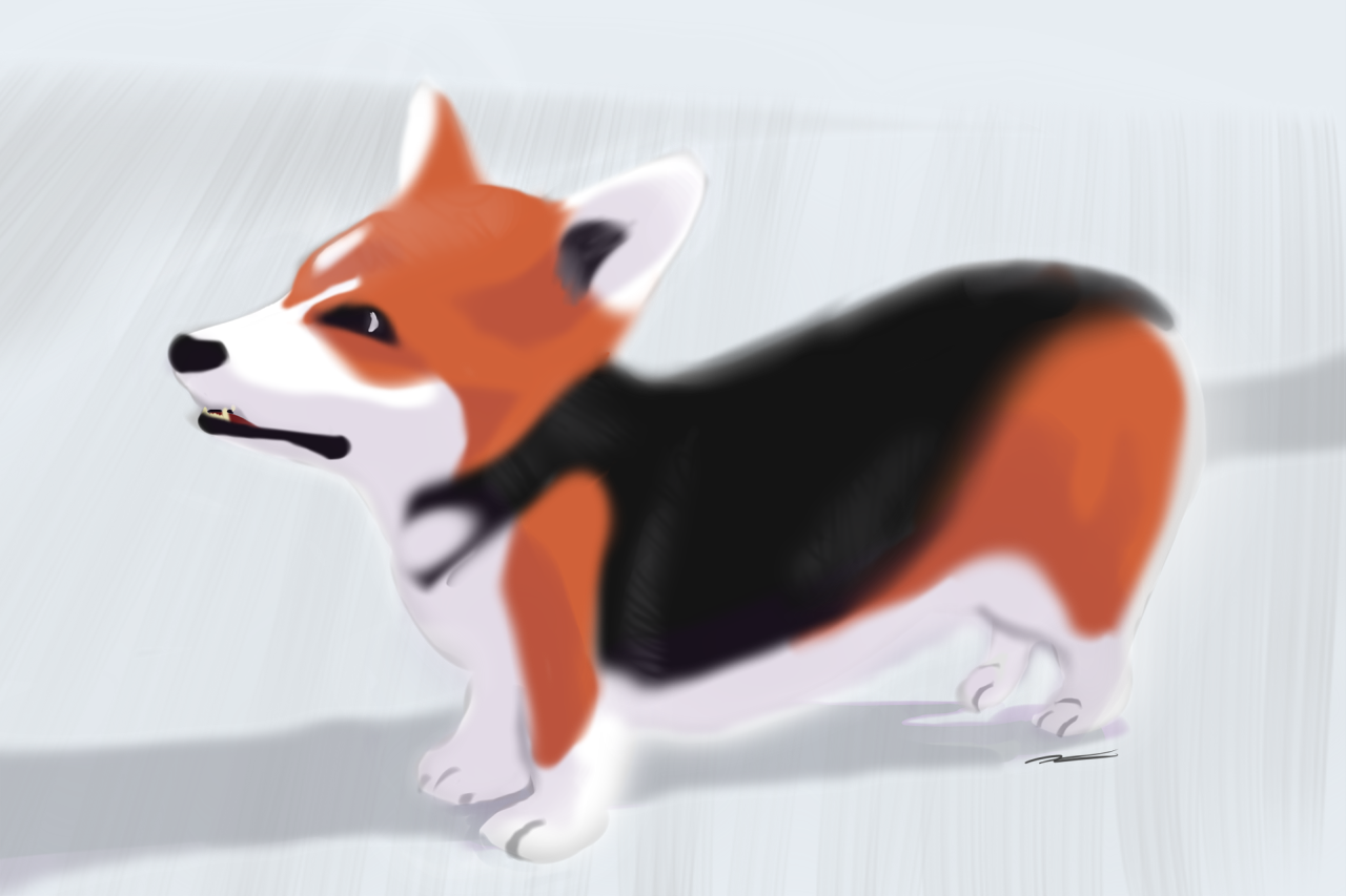 Corgi by kamperkiller