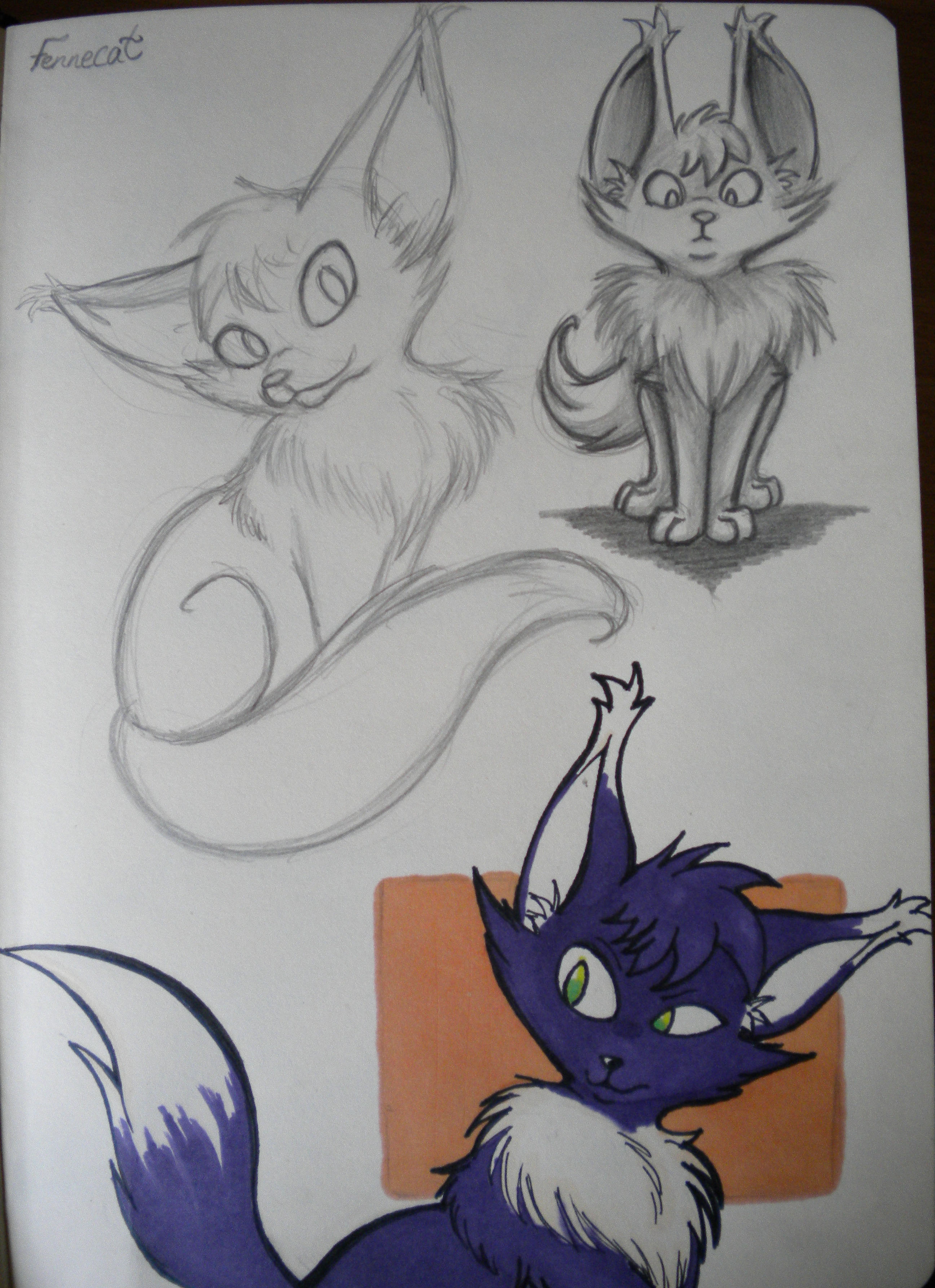 Fennecat Sketch Page 1 by GothicKitty3