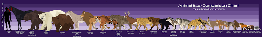 Animal Size Comparison Chart by EcchiTanuki
