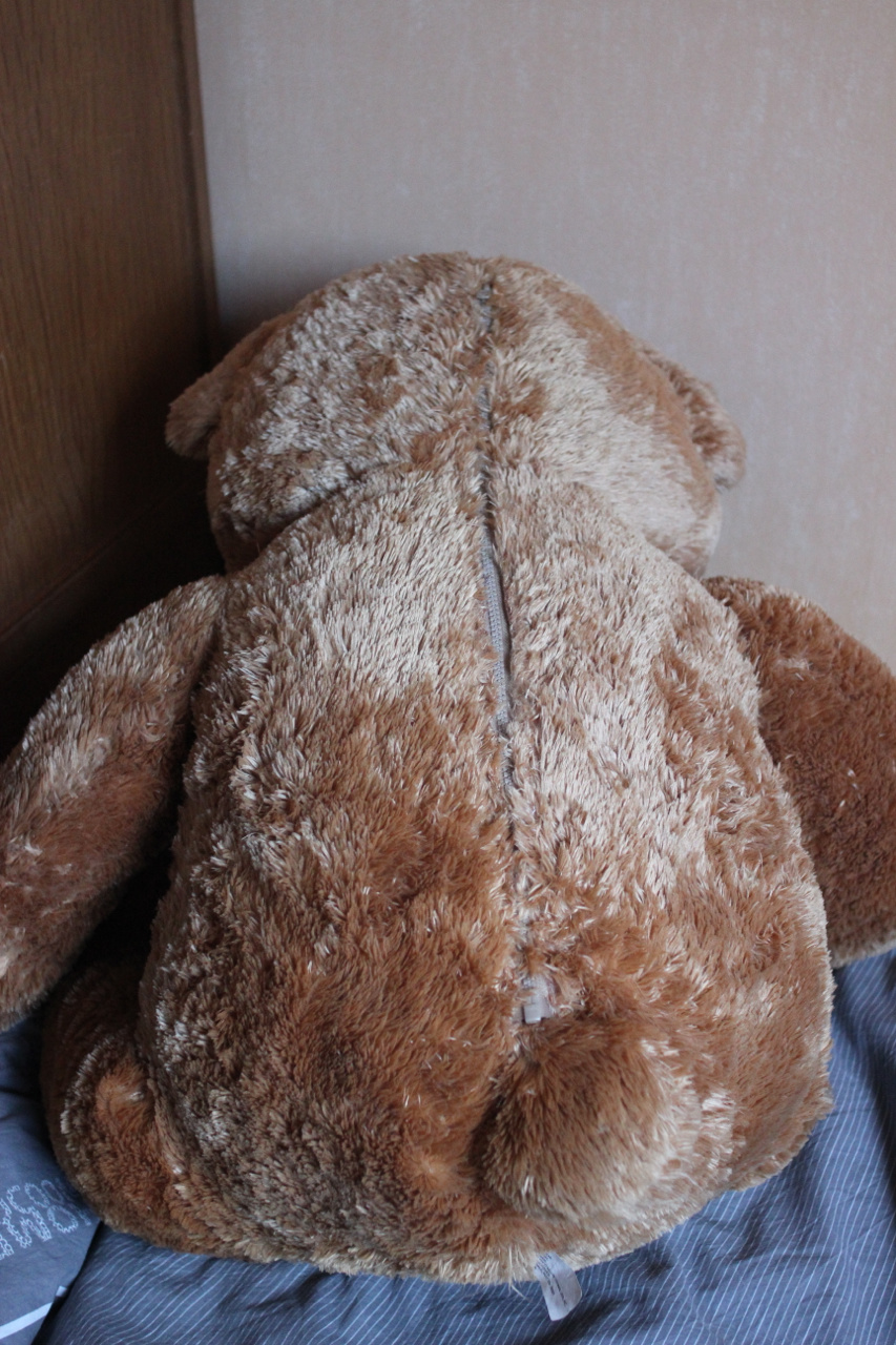 Teddy zipper by as1reallyam